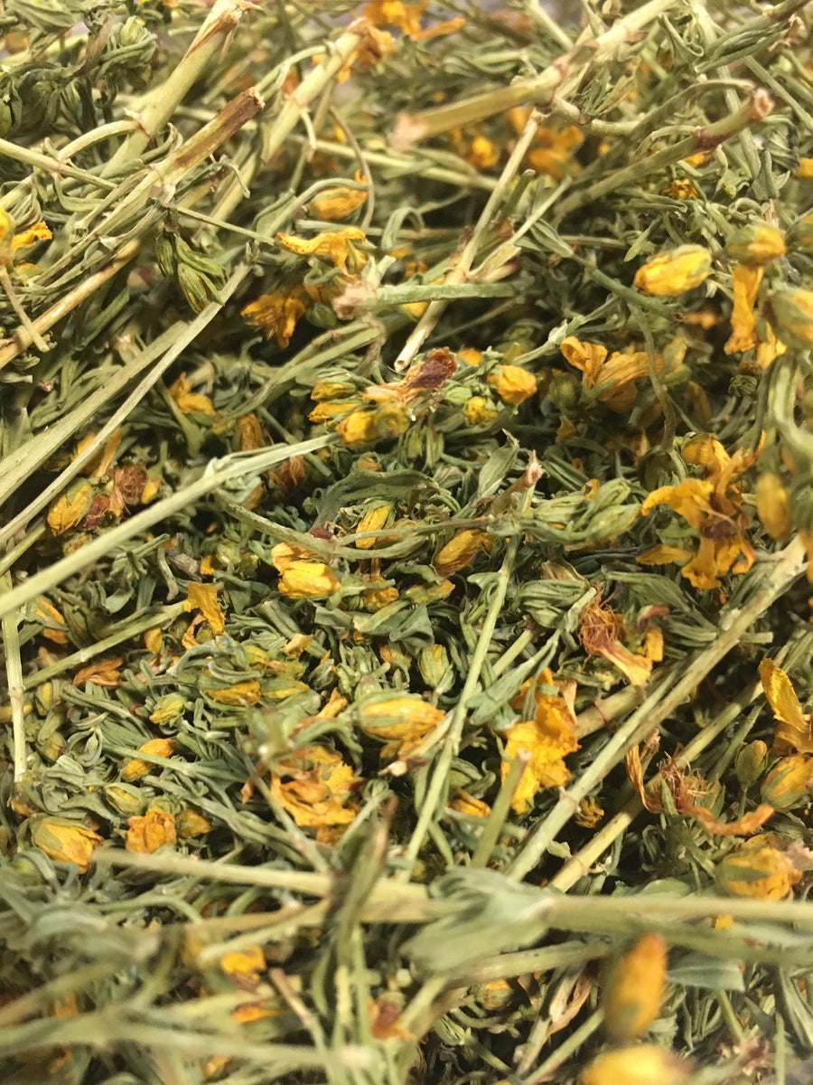 St. John's Wort dried herb, Hypericum perforatum sustainable USA grown ...